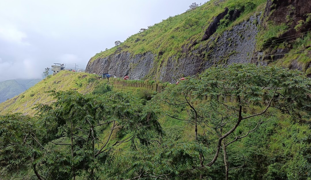 Munnar & Vagamon 4D/3N Premium Tour Package - Travel2cities
